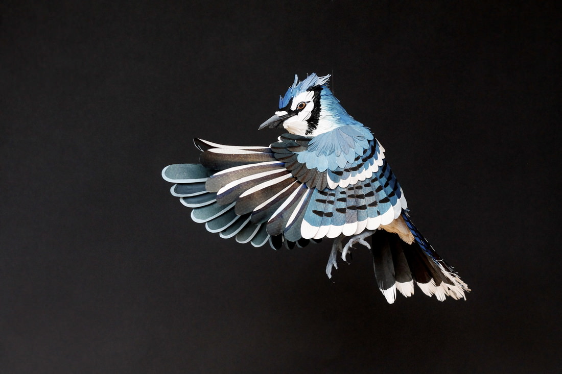 Paper Bird Art by Diana Beltran Herrera - Design Father