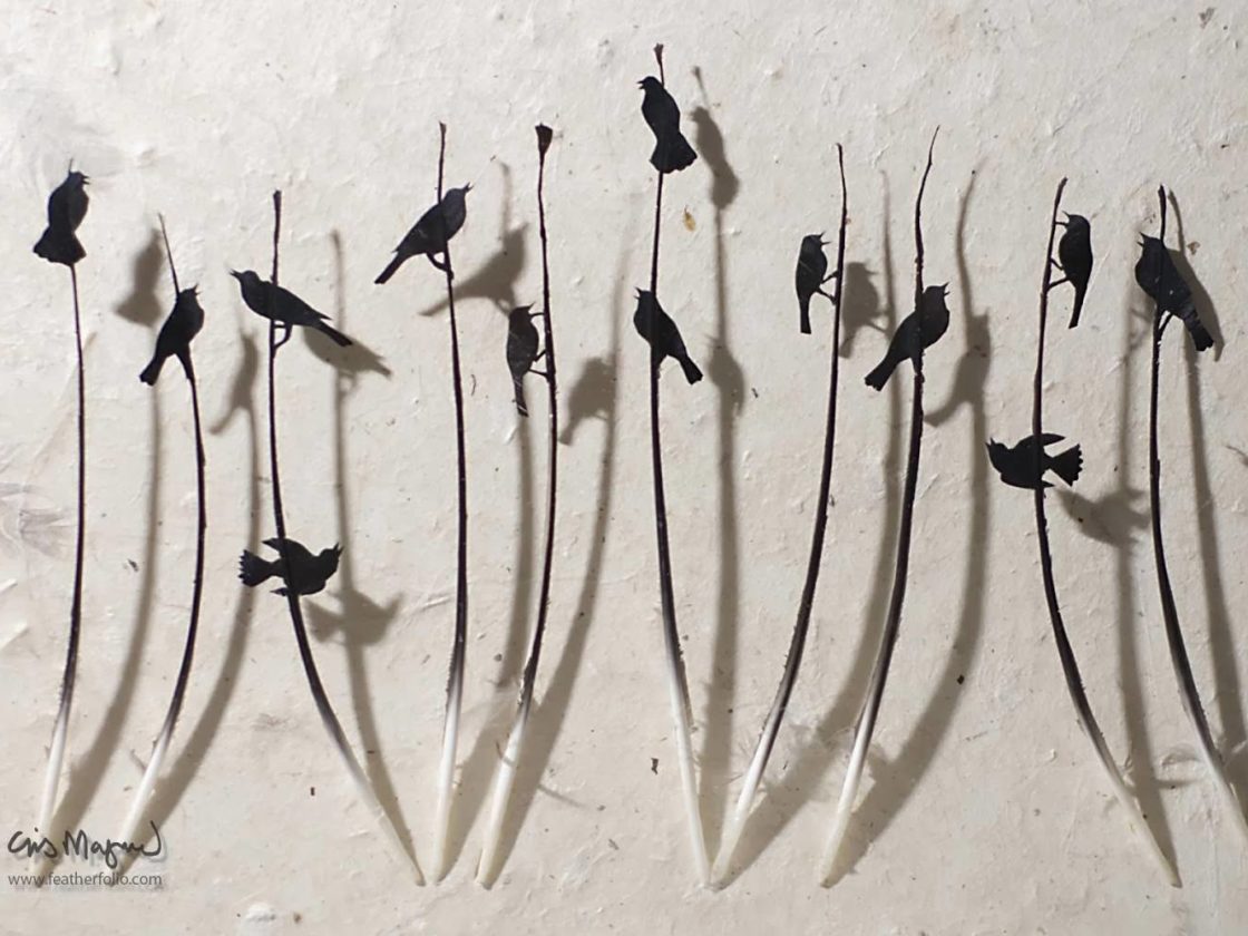 Featherfolio by Chris Maynard - Design Father