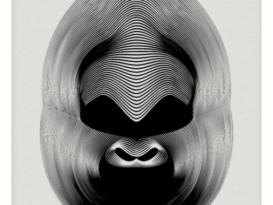 Animals in Moiré by Andrea Minini - Design Father