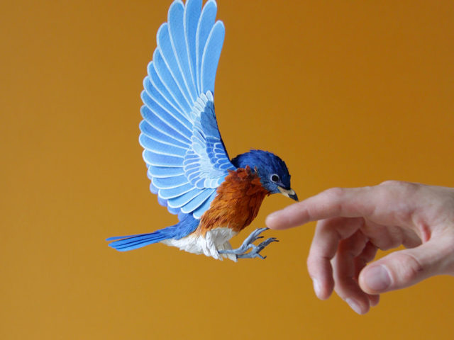 Paper Bird Art by Diana Beltran Herrera - Design Father
