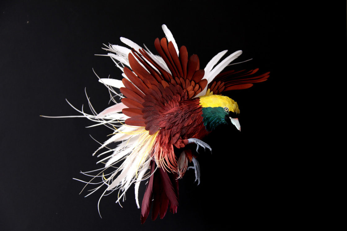 Paper Bird Art by Diana Beltran Herrera - Design Father