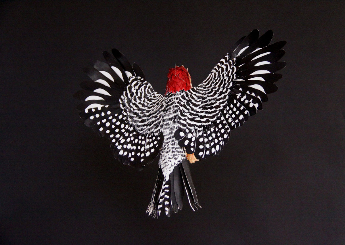 Paper Bird Art by Diana Beltran Herrera - Design Father