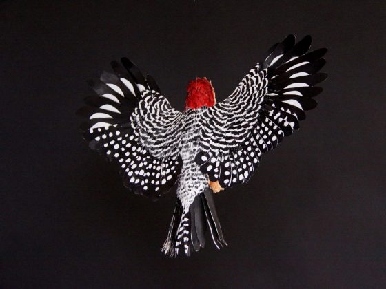 Paper Bird Art by Diana Beltran Herrera - Design Father