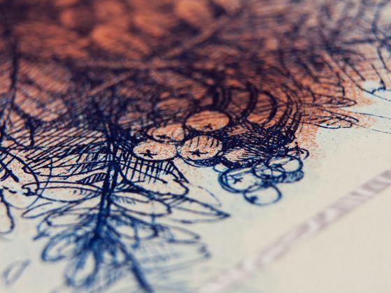 "Hungarian Euro" designed by Barbara Bernát - Design Father