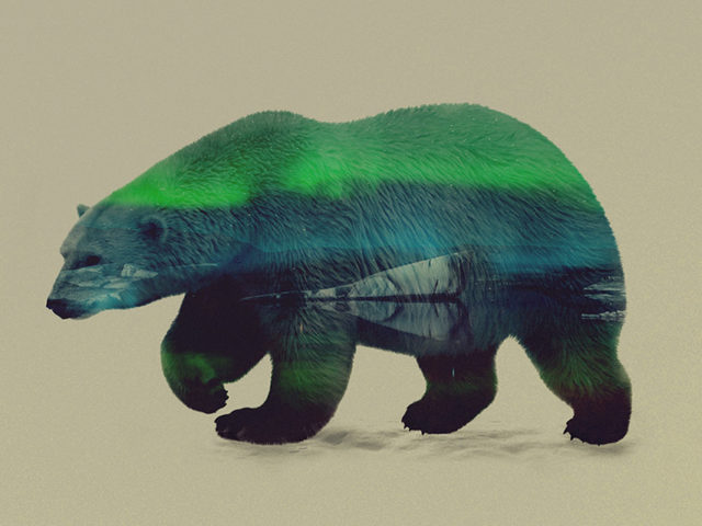 Double Exposure Animal Portraits by Andreas Lie - Design Father