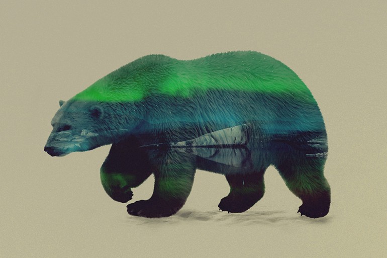 Double Exposure Animal Portraits by Andreas Lie - Design Father